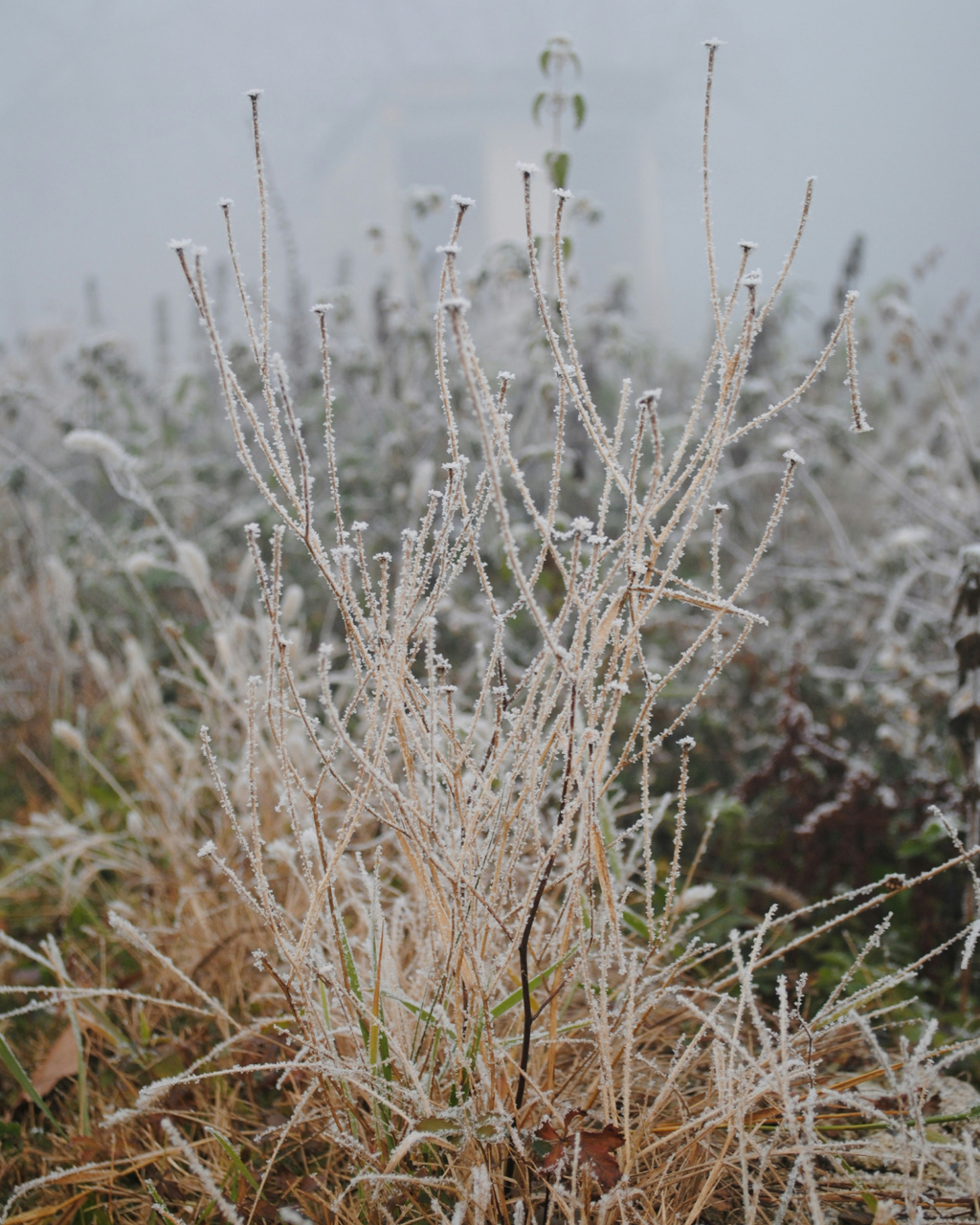 Kleurenpsychologie: de impact van kleur in huis | LAB