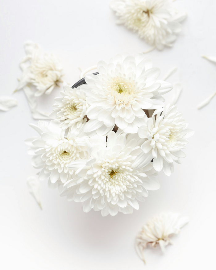 Spider Mum no. 310 - veelzijdige en warme wittint | LAB