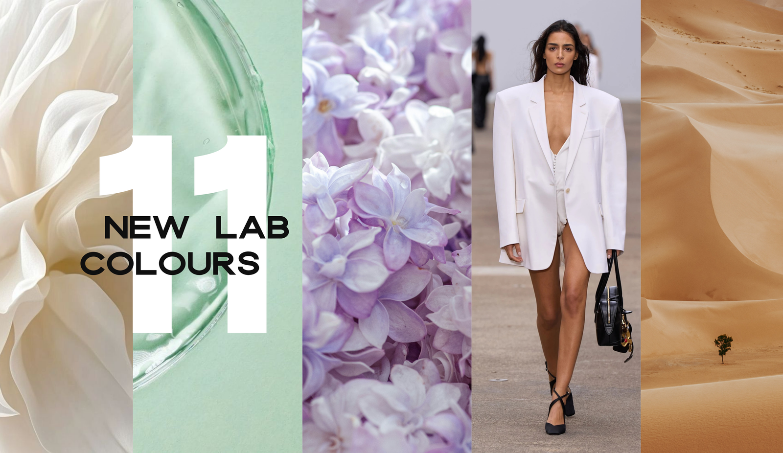 LAB COLOUR THE WORLD | Verf, behang & meer