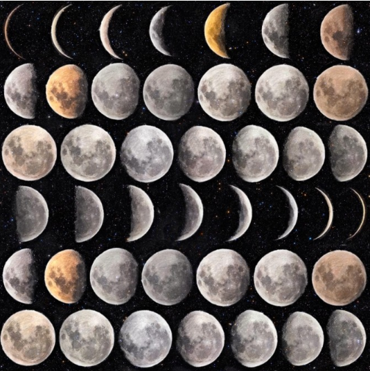 Buy Mind the Gap Moon Phases Wallpaper Here!